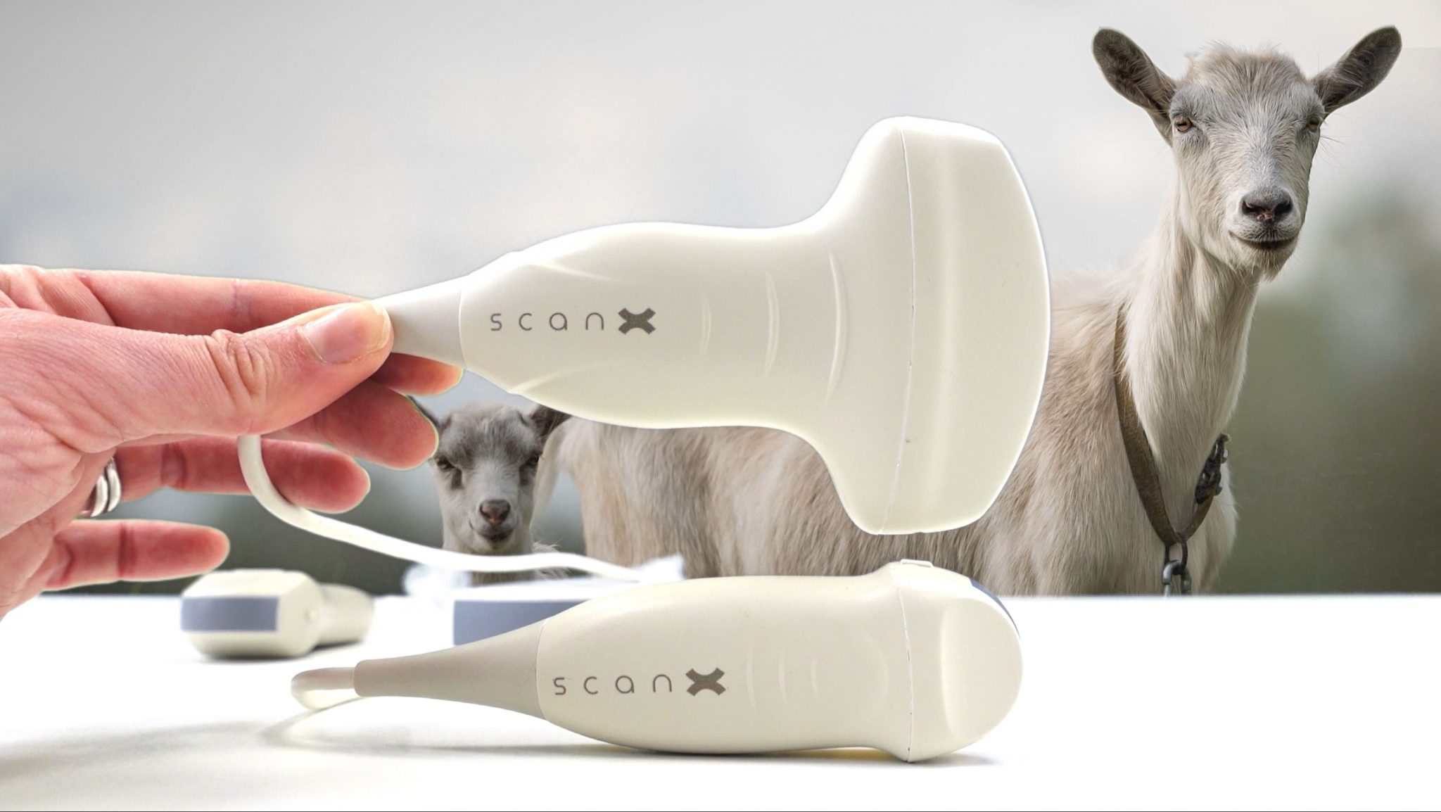 A beginner's introduction to transducers - Portable Ultrasound Machines