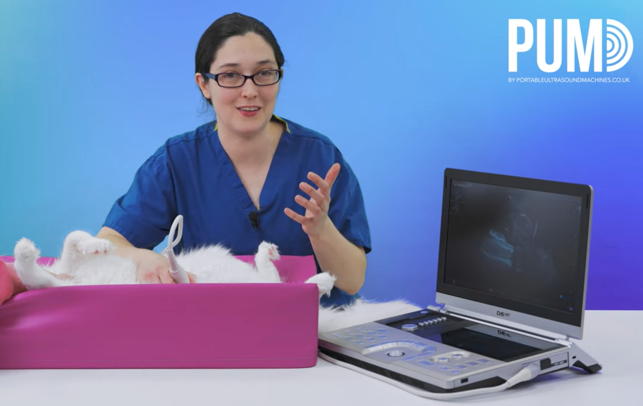 The Best Portable Ultrasound Machines Of 2024 - Portable Ultrasound ...